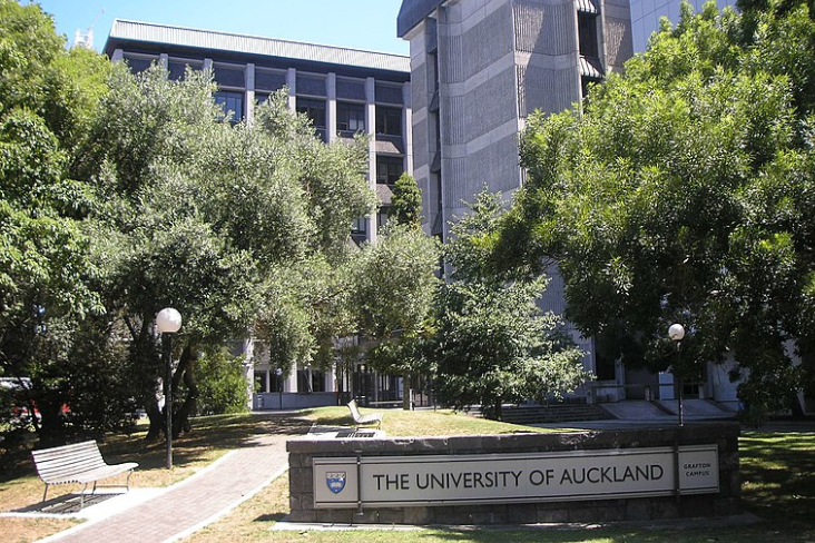 ‘The tip of the iceberg’ — University of Auckland staff raise safety ...